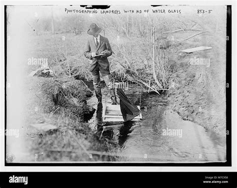Photographe Dans Leau Banque Dimages Noir Et Blanc Alamy