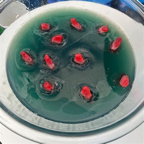 Choco Rocks 6 4oz Pouch Chocolate Candy Gems Mini Rocks Edible Decor Chocolate T Party