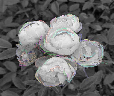 Halcon 第四章『图像特征和提取』 第52节：亚像素级边缘提取—线条生成halcon 亚像素 Csdn博客