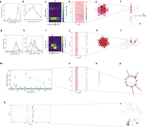 Response Visualizations Conventional Tuning Curves For Drifting Grating Download Scientific