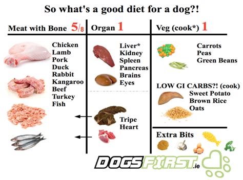 The Ever Evolving World Of Canine Nutrition Dogs First