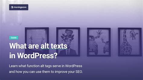What Is Alt Text In Wordpress And How To Write The Perfect One