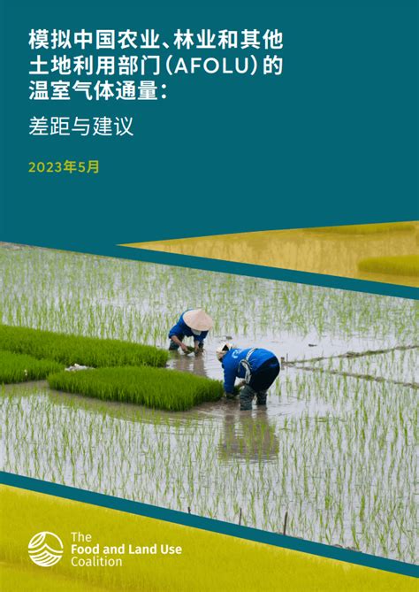 Chinese Forestry And Ghg Fluxes Climate Adaptation Folu