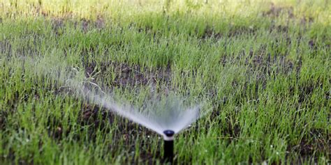 Система автополива участка своими руками: как сделать автополив на даче