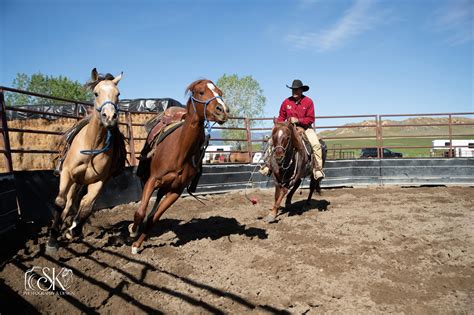 Lazy Js Ranch Lazy Js Ranch Added A New Photo