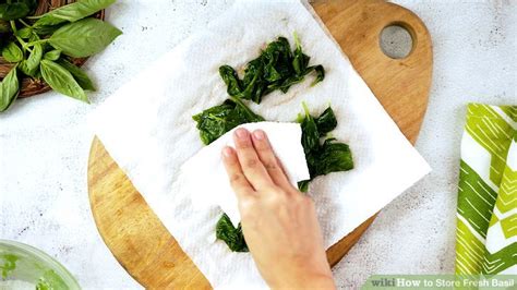 The Easiest Way To Store Fresh Basil WikiHow