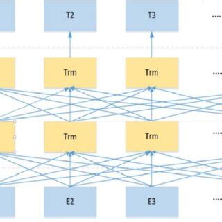 Basic Structure Of BERT Model Download Scientific Diagram