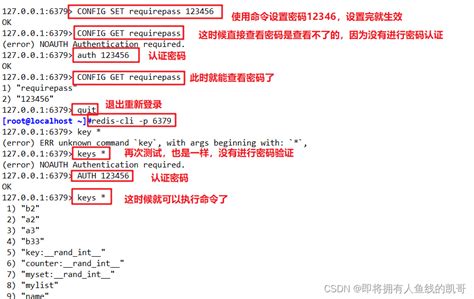 Redis详解 Csdn博客 Redis详解 Csdn博客