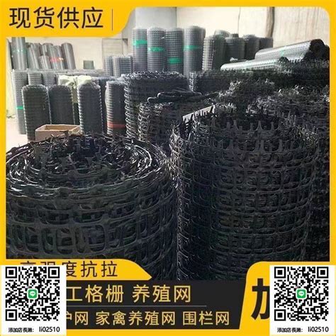 加厚養雞鴨鵝塑料網圍欄網網果園魚塘菜園圈地防護網玉米網養殖 露天市集 全台最大的網路購物市集