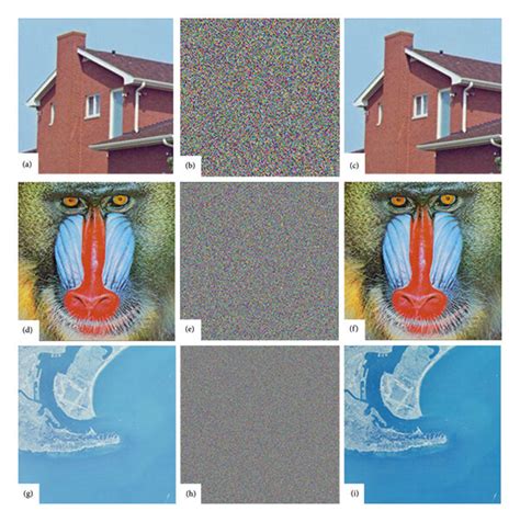 experimental results of color image encryption and decryption image