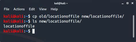 Kali Linux File Management GeeksforGeeks