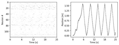 Encoding Of Space Hippocampus CA1 Cebra Documentation