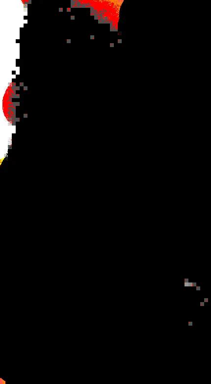 تصاویر زرافه ها با فرمت Png و طرح های سیاه و سفید بدون زمینه