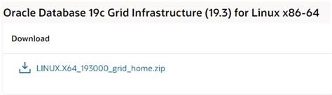 19c Grid Installation Standalone On Linux 79