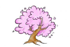 Sakura Tree Drawings Easy And Simple