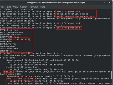 linux学习笔记——一篇文章告诉你如何配置网络 linux网络配置笔记 点 的博客 csdn博客