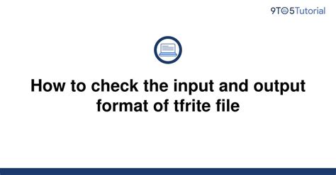 how to check the input and output format of tfrite file 9to5tutorial