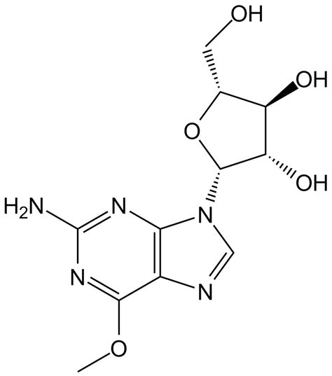 Apexbio Nelarabine Prodrug Of Ara G For T Lbl T All Cas 121032 29 9