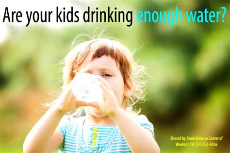 Brain Balance Centers Dehydration Can Affect Cognitive Function Therefore Its Important