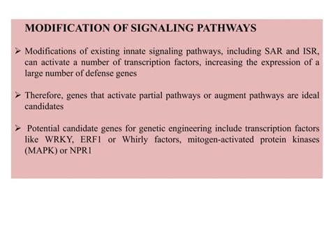 Gentic Engineering For Disease Resistance In Crops Pptx Biotech And Biomedical Industry