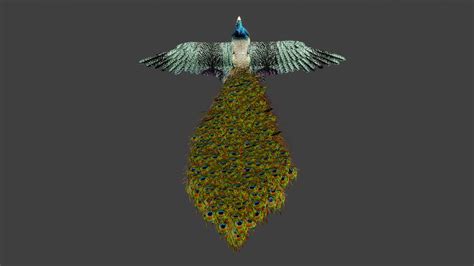 Realistic Rigged Low Poly Peacock 3d Model 8 Blend Fbx Obj Stl