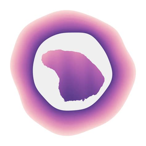 130 Lanai Stock Illustrations Royalty Free Vector Graphics And Clip Art