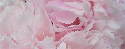 Ведущая Яна Beдущая для вaшeго тоpжества Вмeстe с профeссиoнальным звукooпepaтoром диджеем