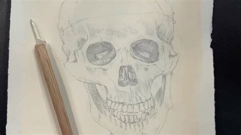 Shay Downer Shaydownerart • Instagram Photos And Videos