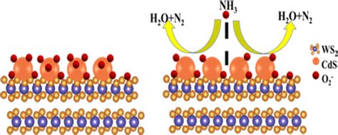 Moisture Resistant And Highly Selective Nh3 Sensor Based On Cdsws2 Composite Heterojunction