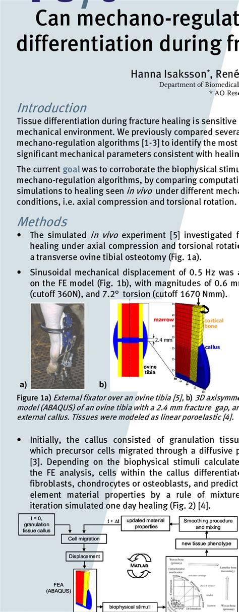 Fracture Healing Simulated In Adaptive Model Matlab Download