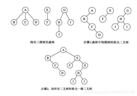 普通树转二叉树，森林转二叉树，有序树转二叉树有序树转换成二叉树 Csdn博客
