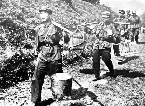 为争一只鸡，差一点拔枪：对越反击，121师断粮始末 知乎