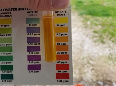 Api Phosphate Test Kit Color Chart Authentic Quality Nationaldefensepac Org