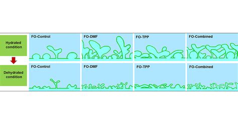 Tailoring The Polyamide Active Layer Of Thin Film Composite Forward Osmosis Membranes With