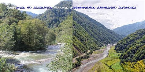 ქედქედის ქედქედის საჯარო სკოლის რეინჯერები ბილიკები