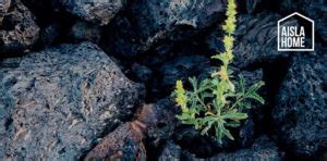 Lana De Roca Qu Es Propiedades Y Aplicaciones Material Aislante