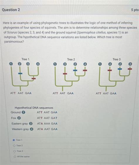 Solved Here Is An Example Of Using Phylogenetic Trees To Chegg Com