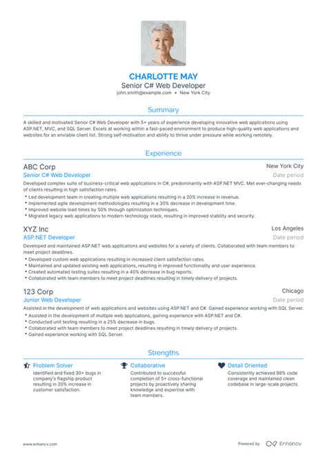5 asp developer resume examples and guide for 2024