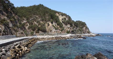 사람은 멀리 자연은 가까이국내 자동차 여행코스 4곳