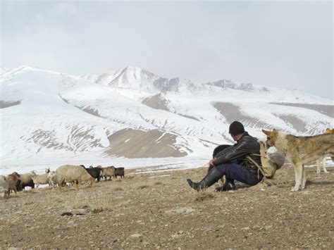 세계의 지붕 파미르 고원을 가다 갤러리 중앙아시아 천산투어