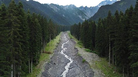 „ჩემი შვილი 4 წლის შვილიშვილი და რძალი დამიბრუნა ღმერთმა რაჭველი ბიჭები მისულან გაუდიათ
