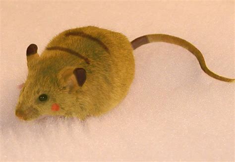 Pikachu Mouse By Lovett91 On Deviantart