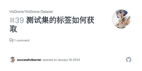 测试集的标签如何获取 · Issue 39 · Visdronevisdrone Dataset · Github