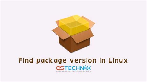 How To Find A Package Version In Linux