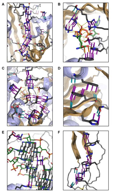 Examples Of Planar Pi Pi Contacts In Folded Protein Structures Pi Pi Download Scientific