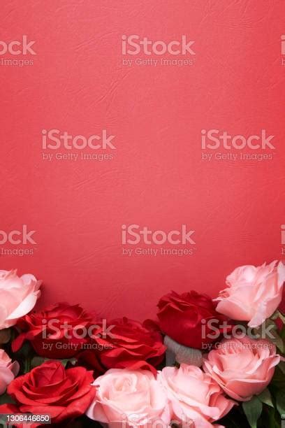 기념일을 축하하기 위해 빨간색과 분홍색 장미 행복한 발렌타인 데이 또는 어머니의 날 벽지 전단지 초대장 포스터 브로셔 배너 0명에 대한 스톡 사진 및 기타 이미지 Istock