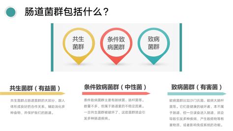 谷禾健康君验—肠道菌群（肠道微生物）精准健康检测 专业版 谷禾健康