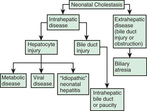Cholestasis Clinical Tree