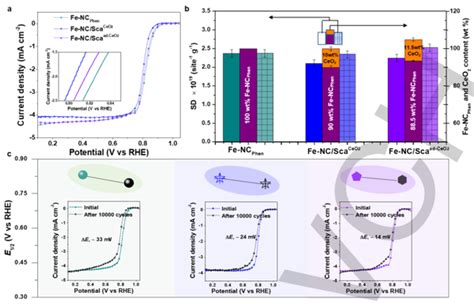 厦大孙世刚团队angew ：ceo2纳米颗粒 自由基清除剂！ 知乎