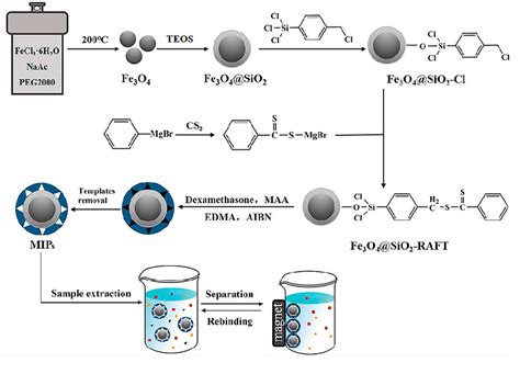 Figure 1 From Recent Advances In Solid Phase Extraction Spe Based On Molecularly Imprinted